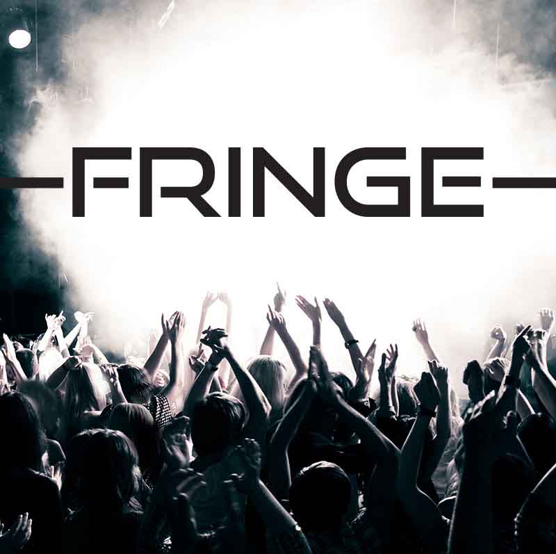 Branding - Fringe | Logo Design | Brand & Business Audit